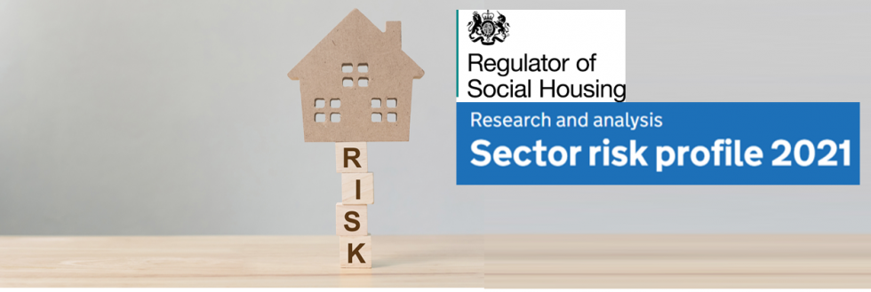 Sector Risk Profile 2021: Almshouse Association Briefing Note | The ...