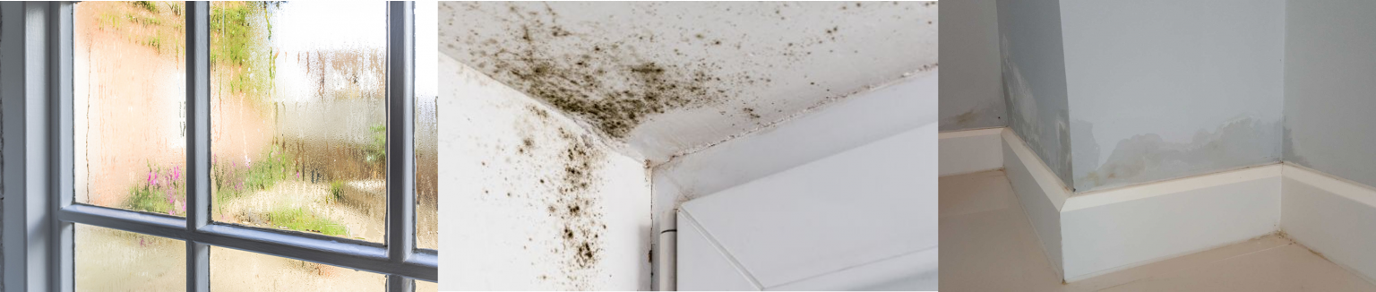 Damp and Mould Guidance | The Almshouse Association