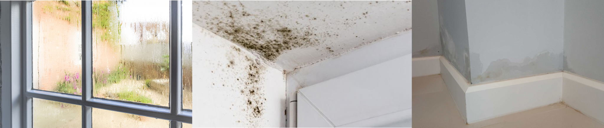 Damp and Mould Guidance | The Almshouse Association